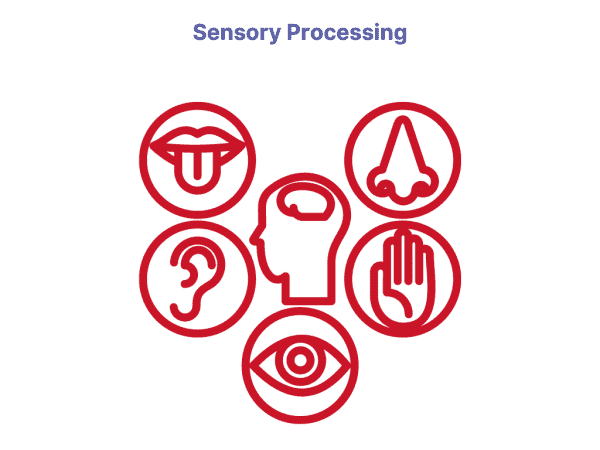 Sensory Processing Activities for Children at Home: A Fun and Effective ...